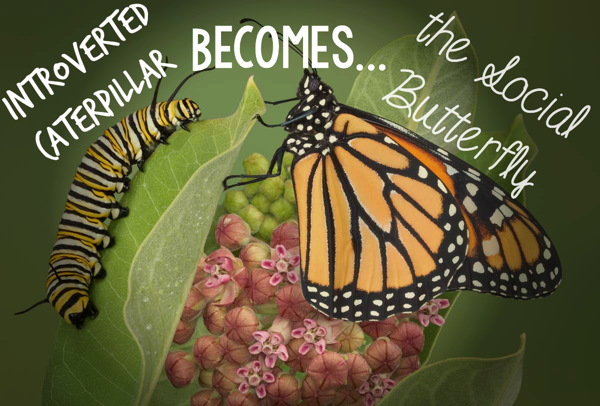 The Social Butterfly Found Her Wings - Just a Mom's World