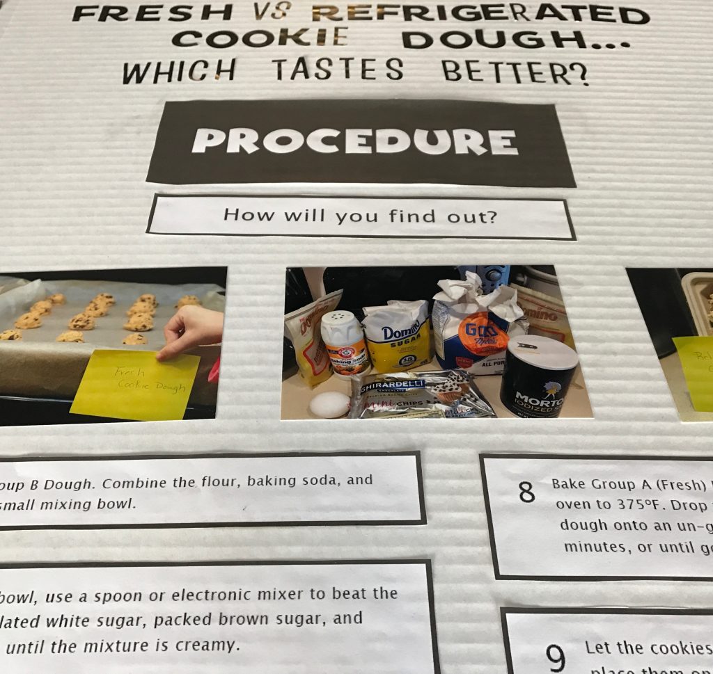 The Science Fair with Chocolate Chip Cookies, Oh My!