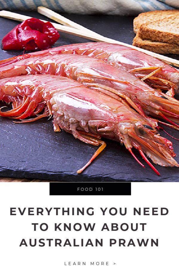 Everything You Need to Know About Australian Prawns